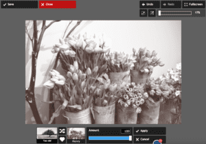 7 (Truly) Free Graphic Design Tools for Beginners - Big Sea