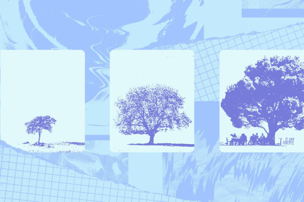 What Is a Legacy Donor? - Big Sea